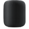 Voice App Development Agency | Voice App Development